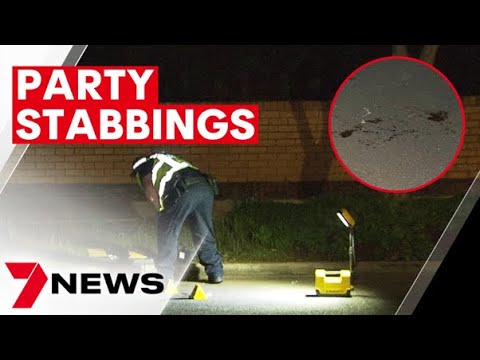 Manhunt under way after two men stabbed at wild Oaklands Park house ...