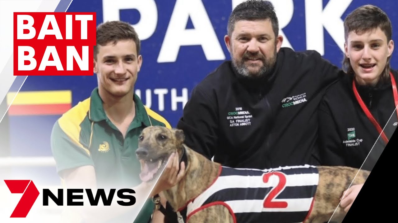 Lewiston greyhound trainers Troy, Connor and Jackson Murray given life ...