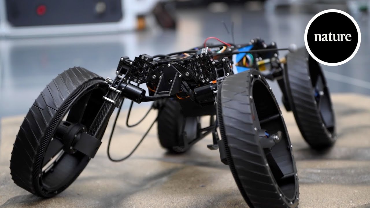 The bio-inspired 'transformer' that crawls, rolls and flies - The ...