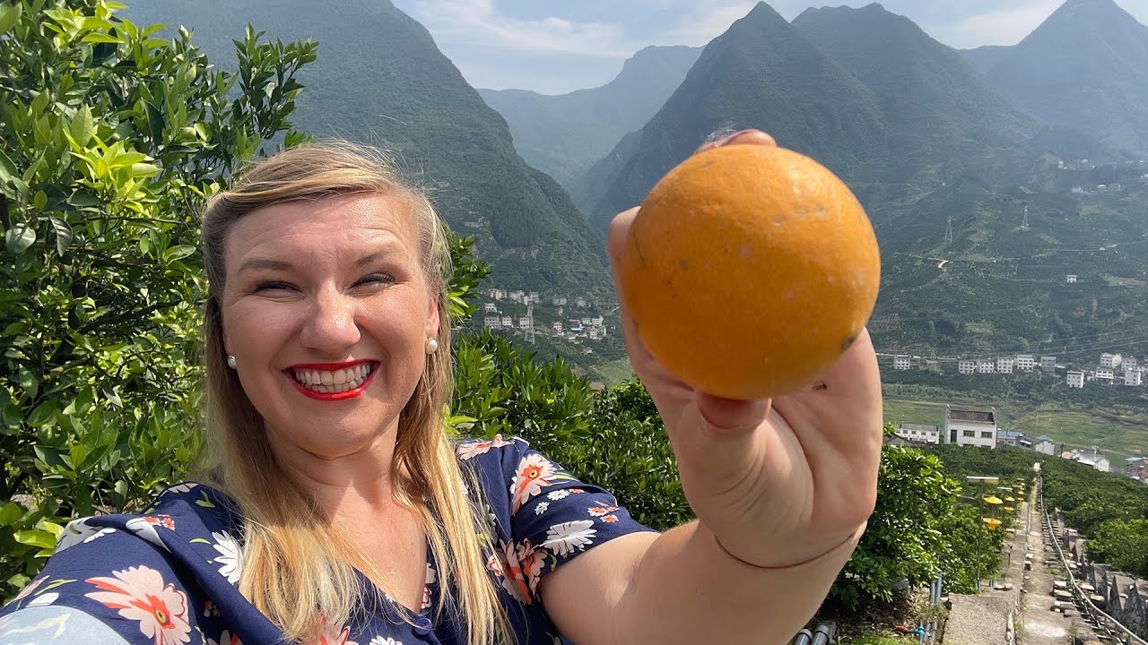 Famous Zigui oranges inspire ancient poet - The Global Herald