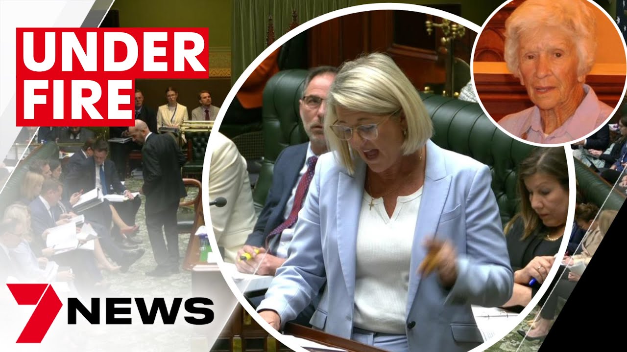 NSW Police Minister Yasmin Catley under fire over taser statement | 7NEWS - The Global Herald