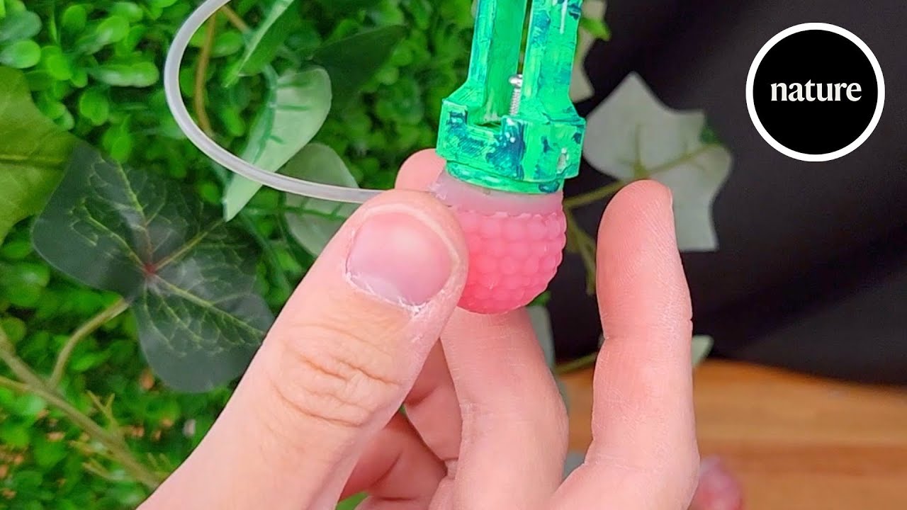A robotic raspberry teaches machines how to pick fruit - The Global Herald
