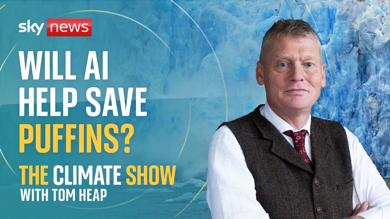 Will AI help save puffins? | The Climate Show with Tom Heap - The ...