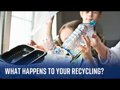 Recycling: Do you know which of your waste can be put in the recycling ...