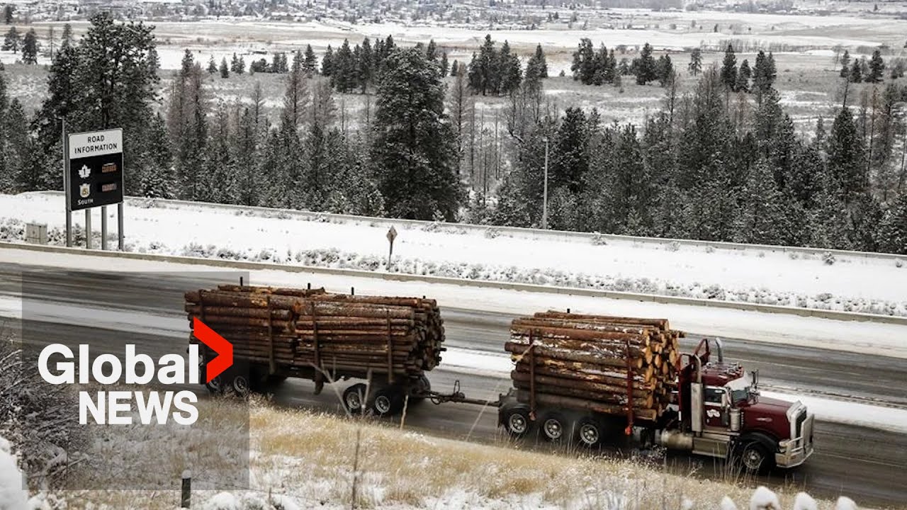 Manitoba bus crash: The future of the Trans Canada Highway after tragic ...