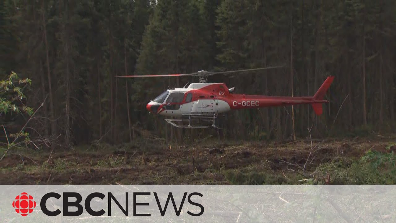 Northern Quebec town ordered to evacuate as wildfire approaches - The ...