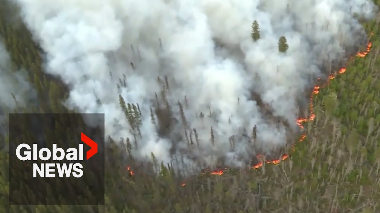 Quebec wildfires: More rain needed to push back against fires - The ...