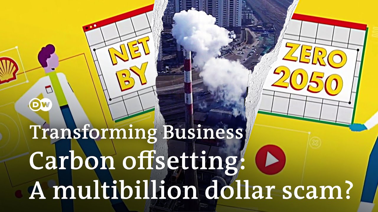 Carbon offsets: shady greenwashing or a solution for sustainable growth ...
