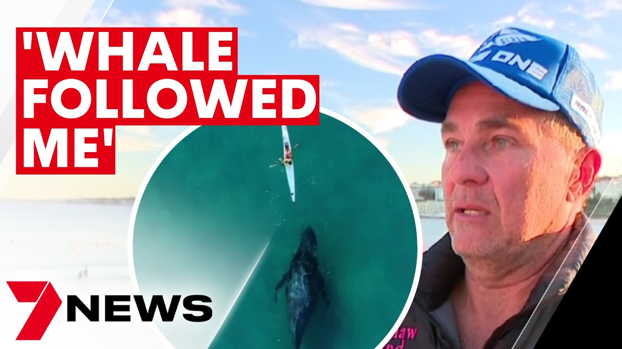 2023 Young Archie winners | 7NEWS - The Global Herald