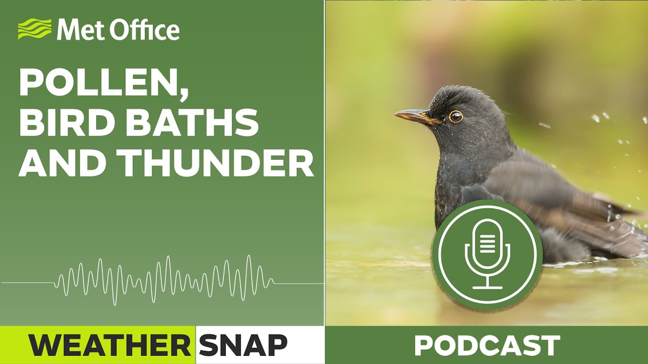 Pollen, bird baths and thunder – 16/06/2023 – Weather Snap podcast ...