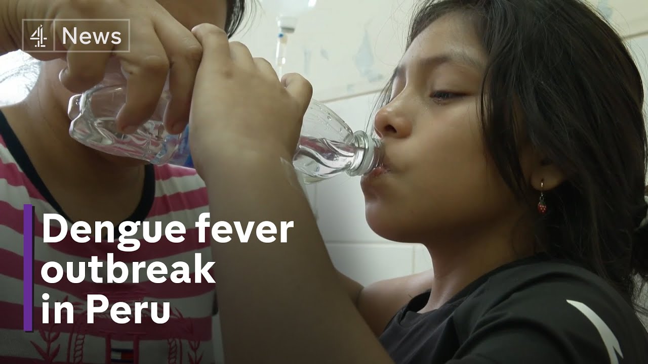 Record Dengue Fever outbreak in Peru as climate change helps mosquitoes ...