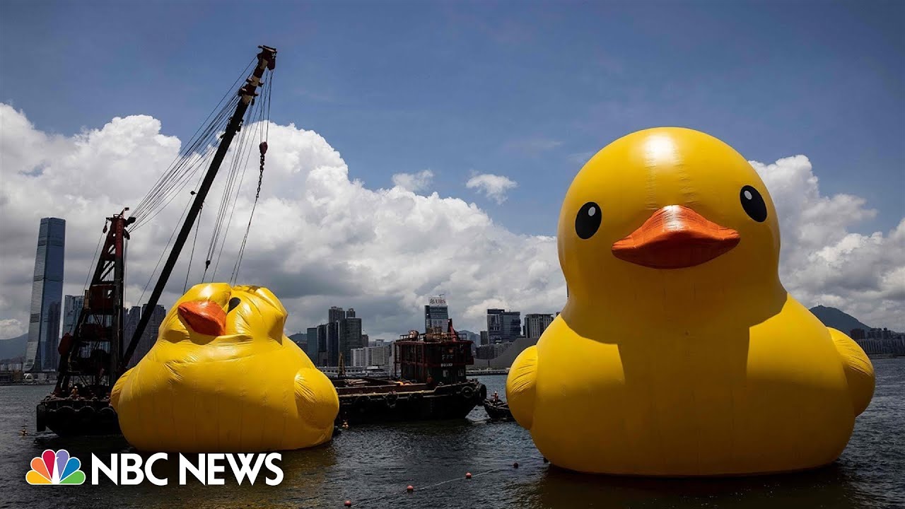 Giant inflatable duck deflates in Hong Kong’s Victoria Harbor - The ...