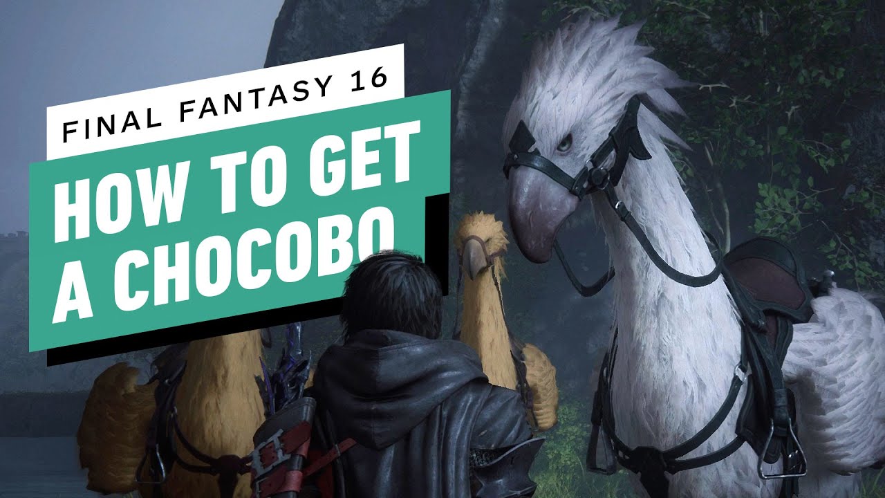 Final Fantasy 16 - How to Get a Chocobo - The Global Herald