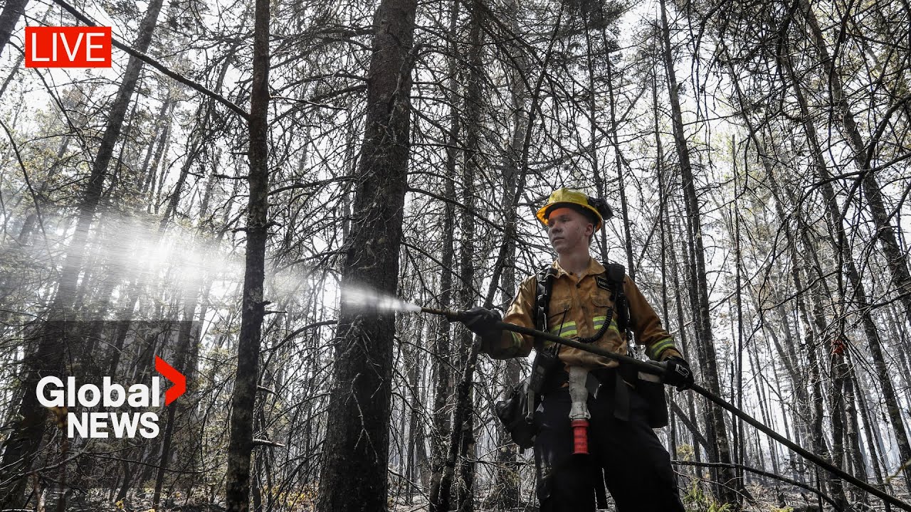 Nova Scotia wildfires: Officials provide update as Tantallon fire ...