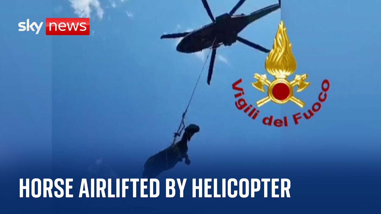 Italy: Footage shows horse being airlifted to safety from a deep pit in ...