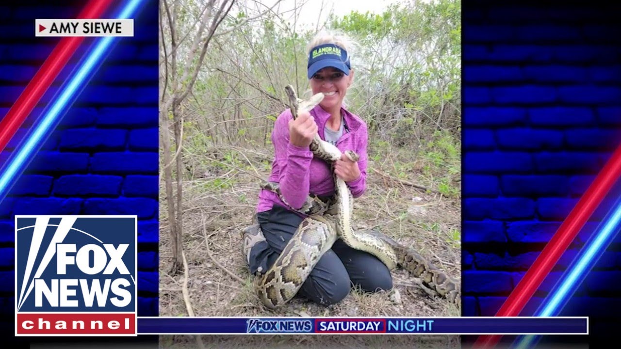 How one woman quit her day job to take on Florida's python invasion ...
