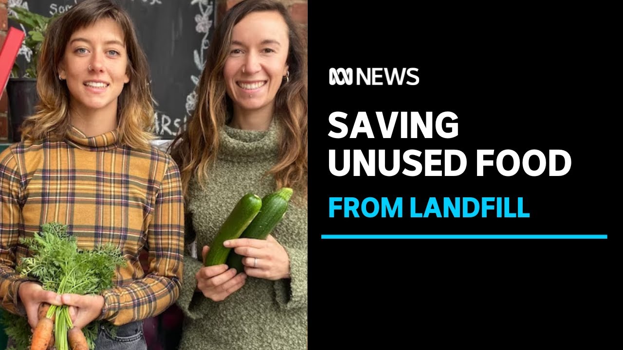 Volunteers push to stop billions of dollars in food waste amid cost of ...