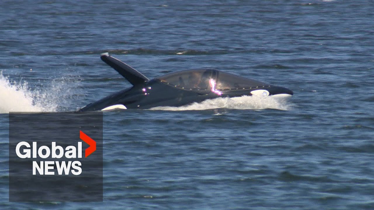 Orca-looking custom watercraft promises fun on, above and below water ...