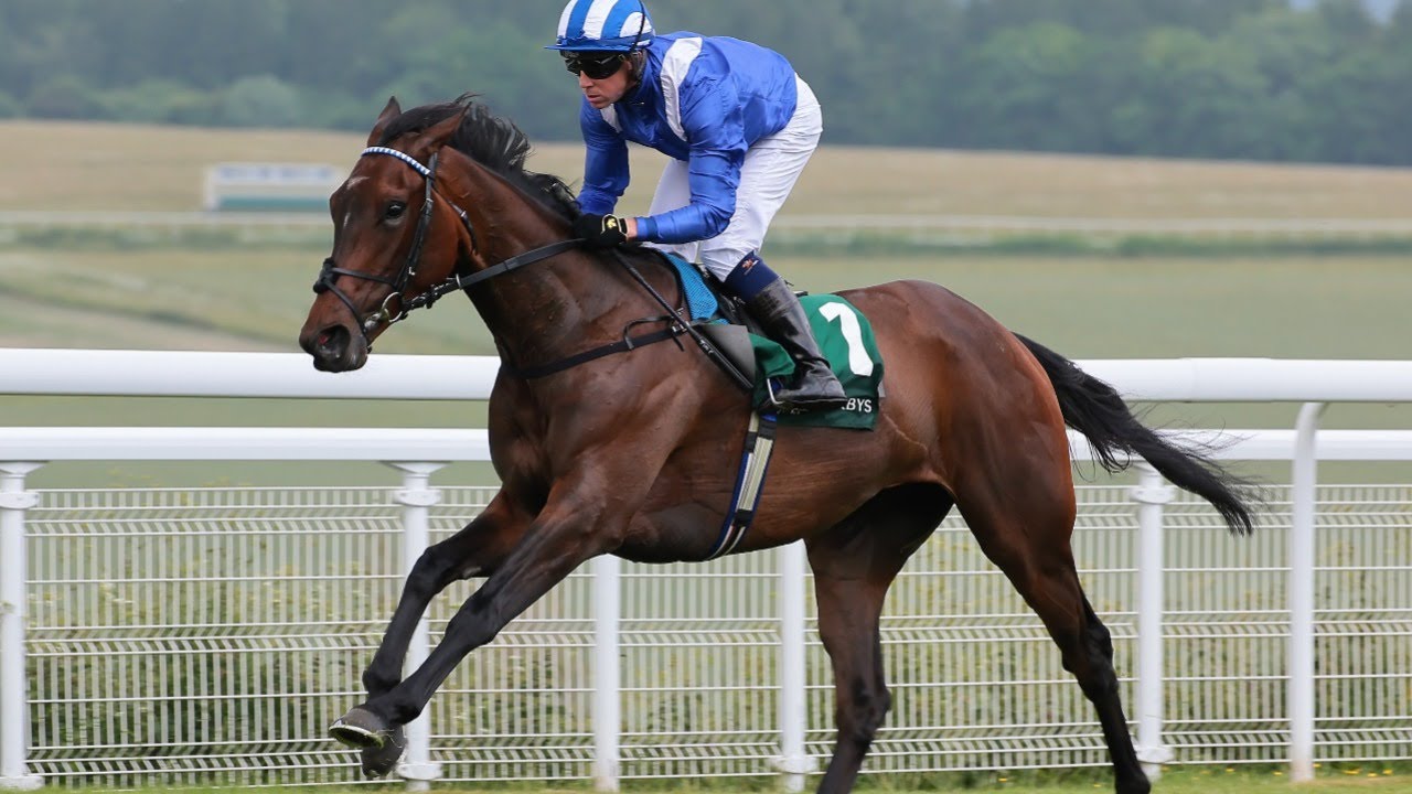 Wow! Frankel filly Al Asifah puts up an exhilarating display at ...