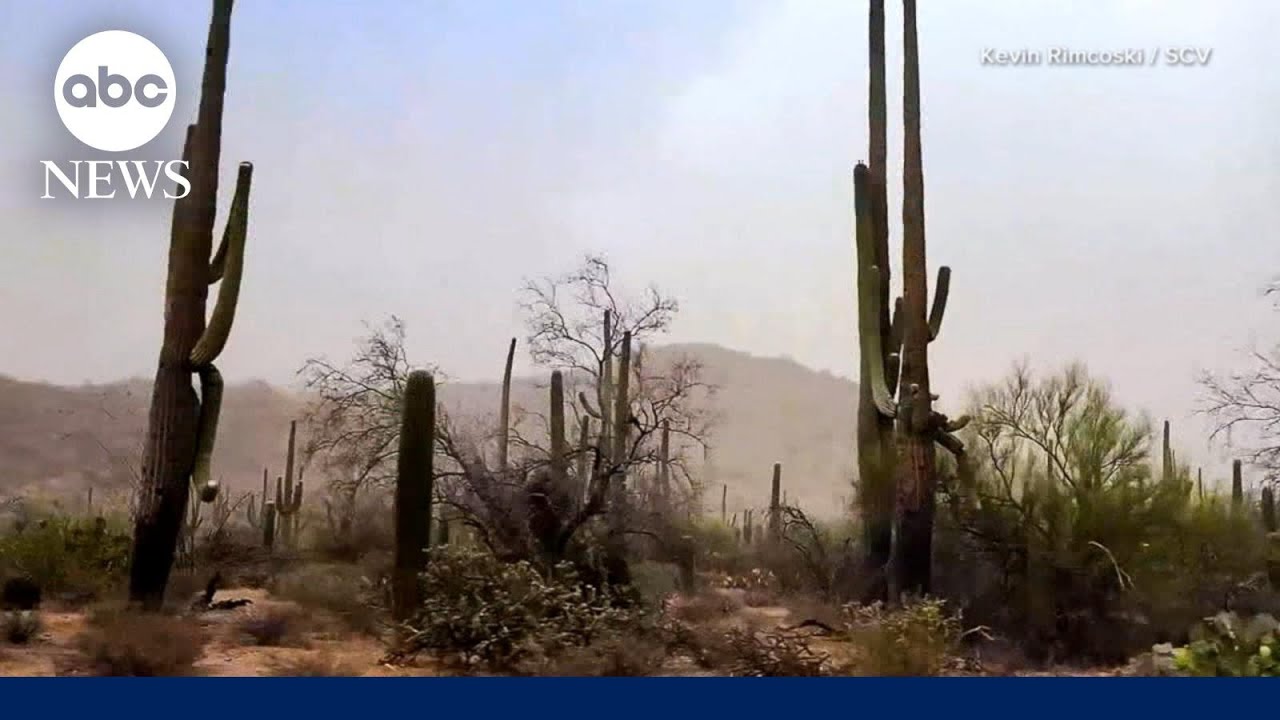 Heat records smashed as 72 million face summer scorcher - The Global Herald