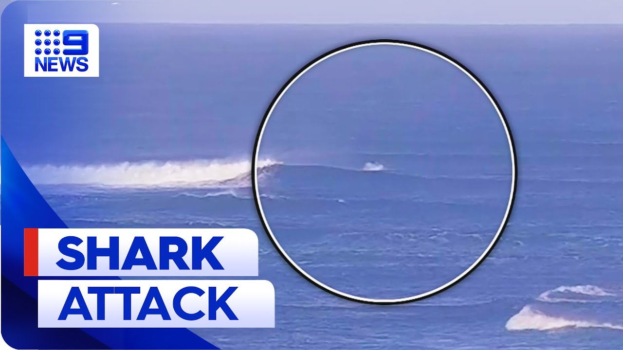 Surfer bitten by great white shark in Perth | 9 News Australia - The ...