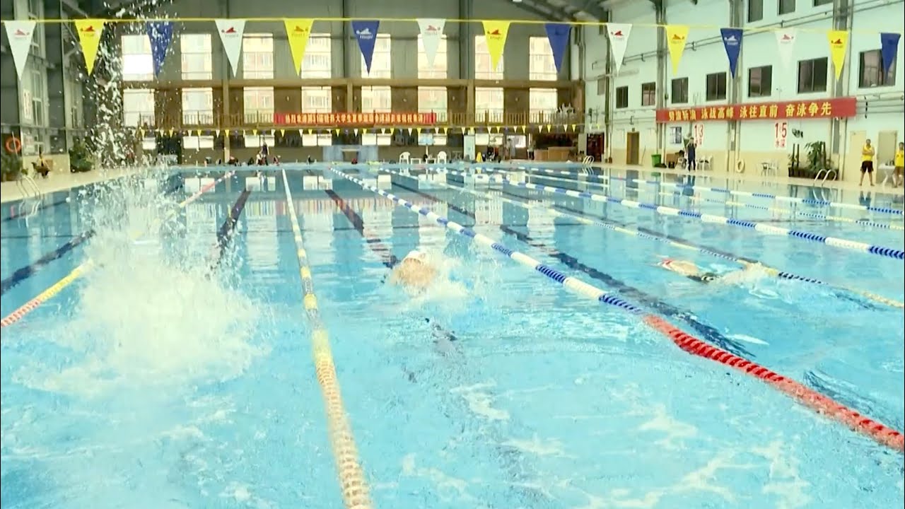Swimming team holds test competition to gear up for Universiade - The ...
