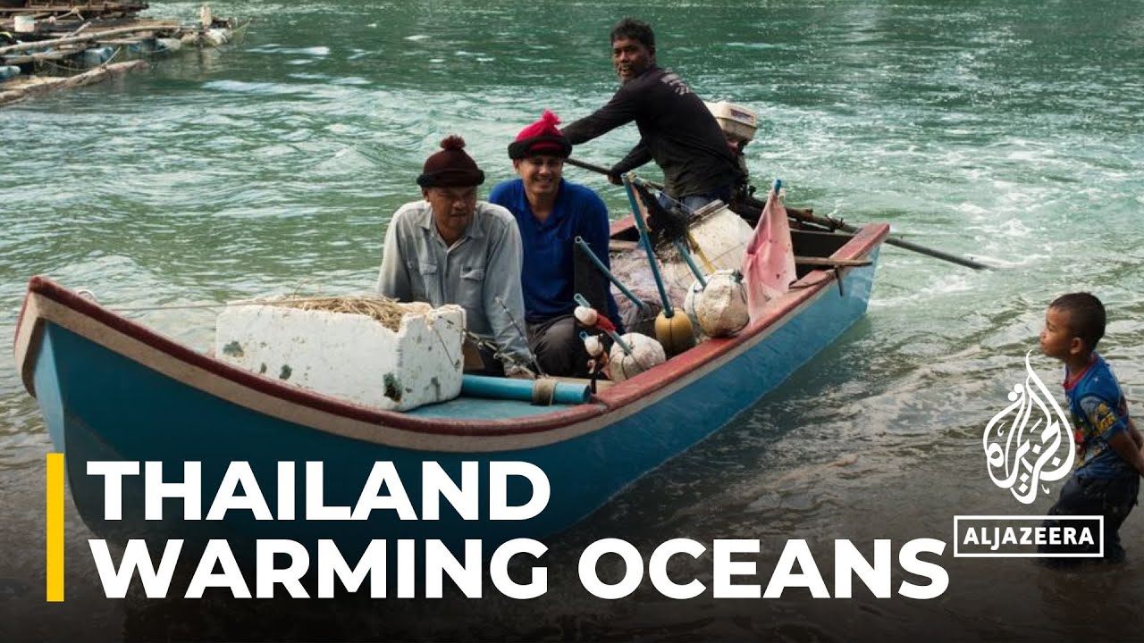 Thailand oceans: Warming seas leading to environmental disaster - The ...