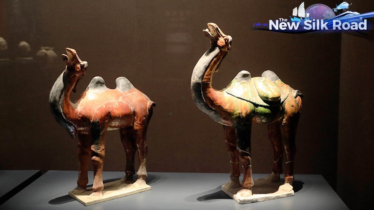 Live: Trace the history of the Silk Road at China Silk Museum - The ...