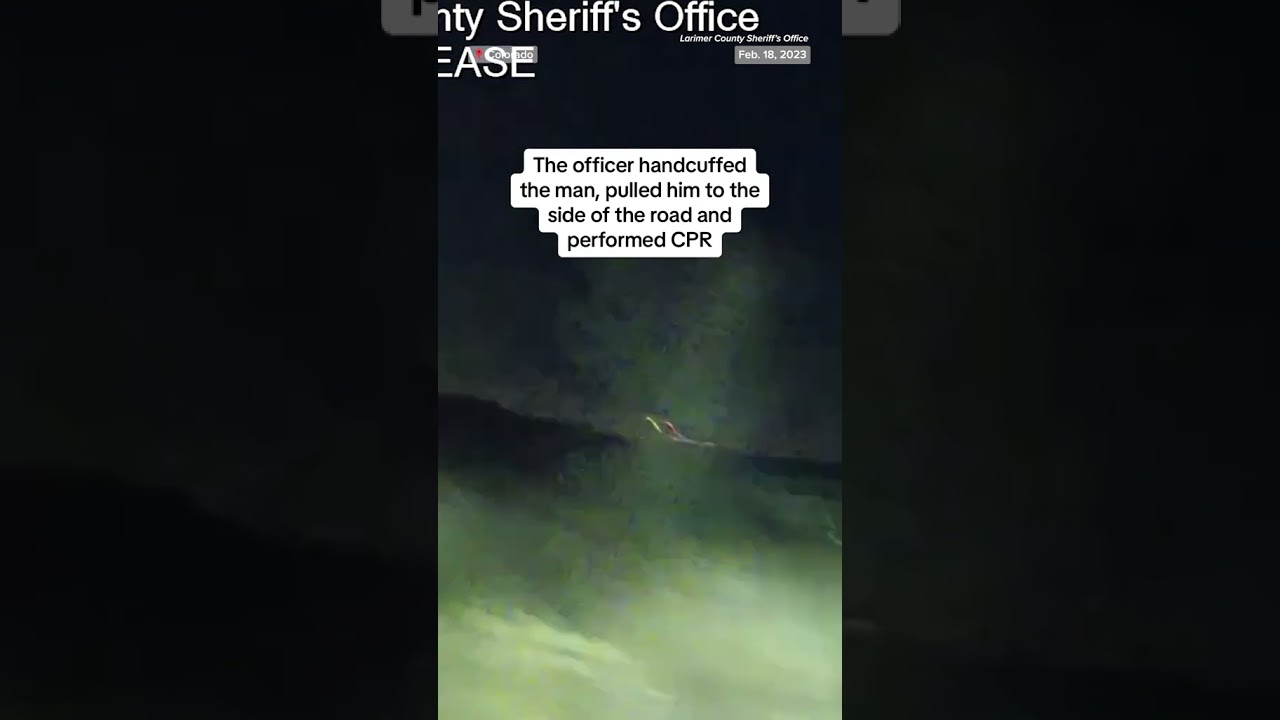 Man stunned by deputy before being fatally hit by car - The Global Herald