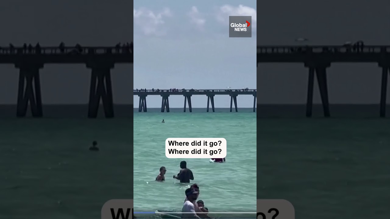 “Get out of the water!”: Swimmers surprised by shark at Florida beach ...