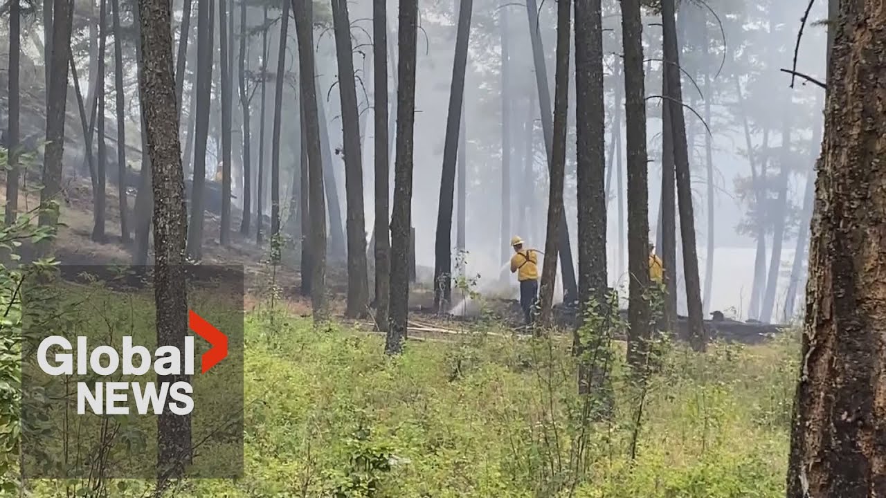 Campfires banned provincewide as lighting triples BC’s active wildfires ...