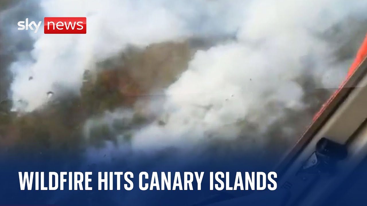 Europe heatwave: Footage shows wildfire spreading across island of La ...