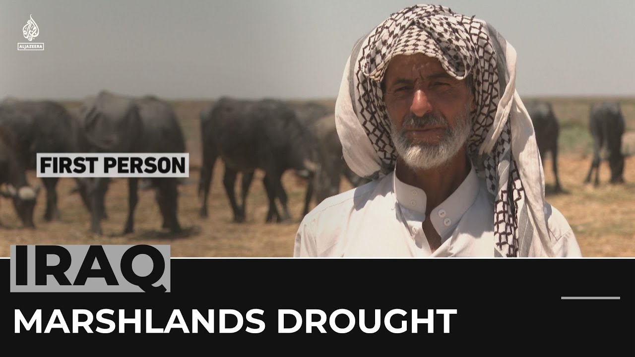 First Person: Southern Iraq's marshlands face worst drought in 40 years ...