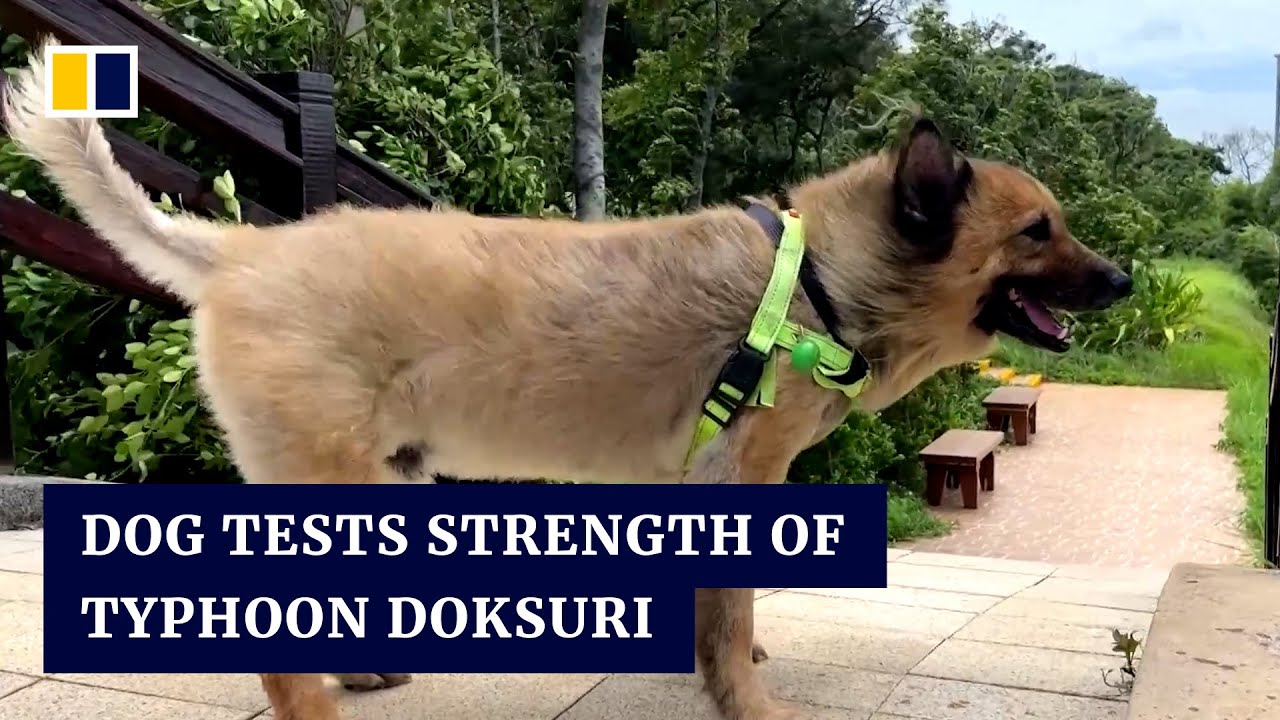 Super typhoon Doksuri batters Taiwan on its way to China’s southeast ...