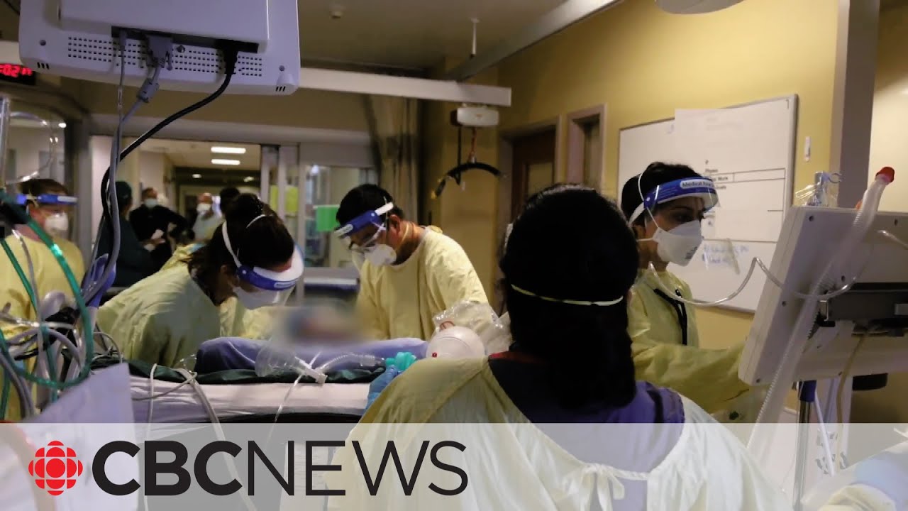 Why one AHS nurse’s 2022 salary was higher than the CEO’s - The Global ...