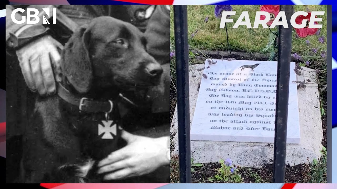 Dambusters Dog: Grave of mascot will remain in place despite pleas to ...
