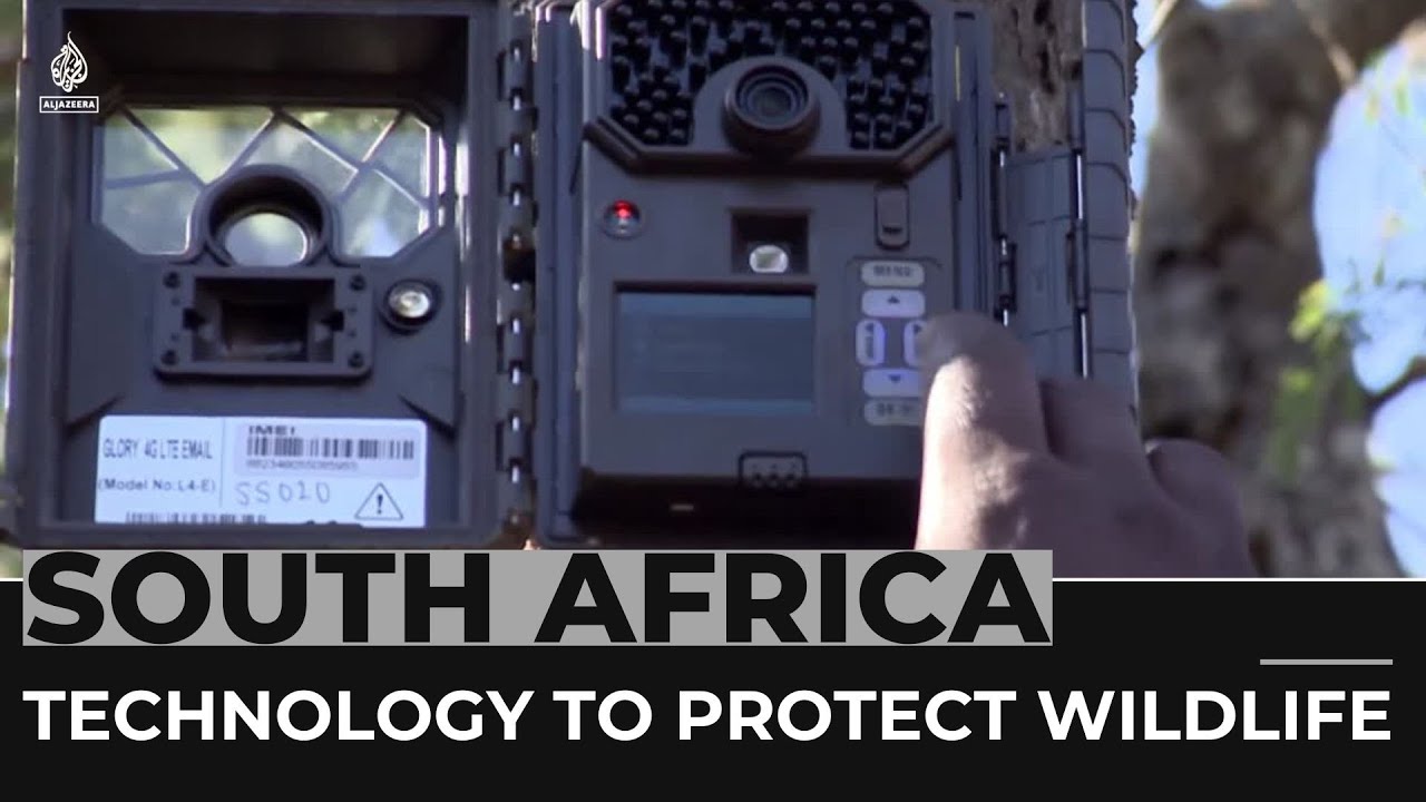 South Africa incorporates technology to protect wildlife - The Global ...
