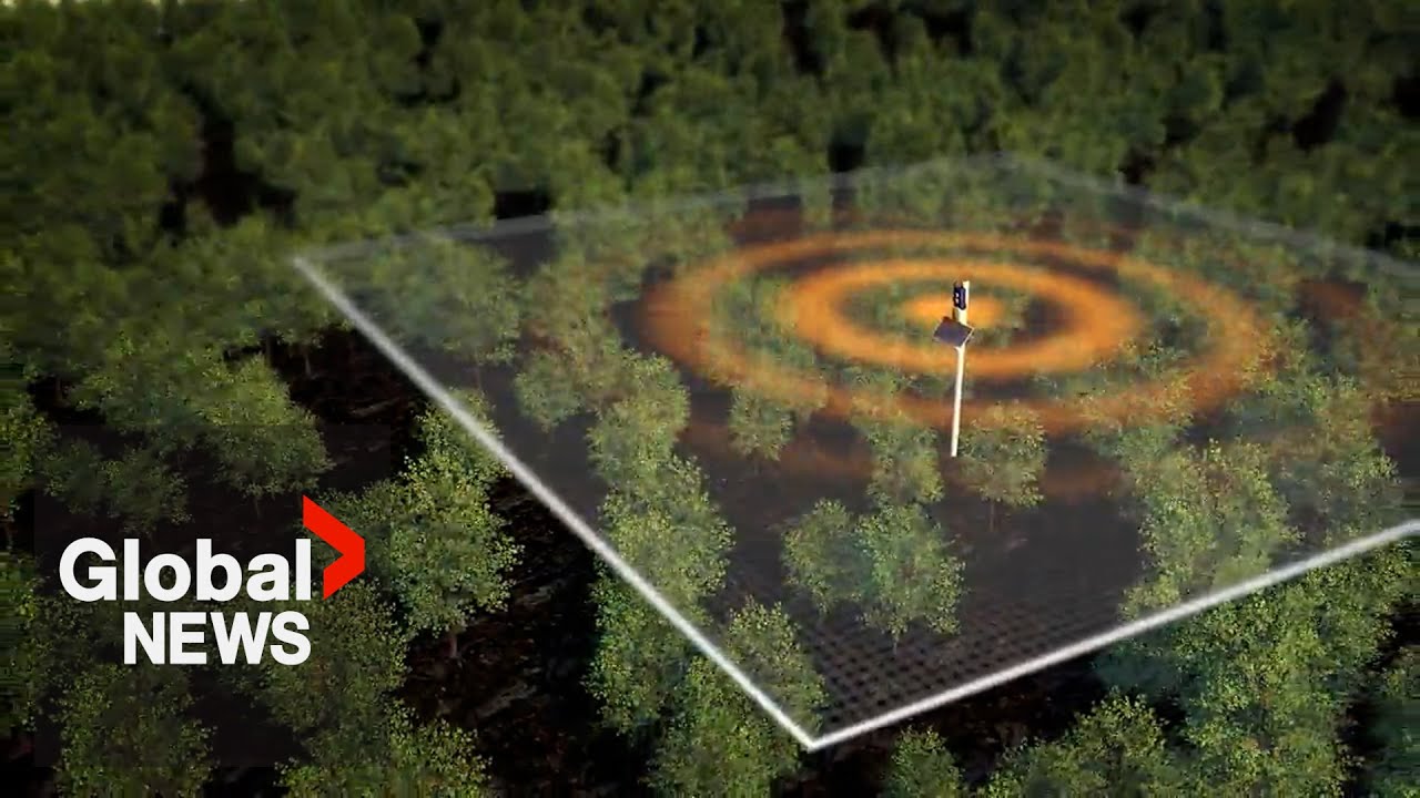 Canada wildfires: How AI-powered sensors are shaping the future of ...