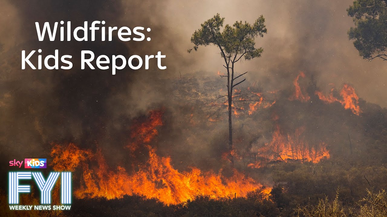 FYI: Weekly News Show - Wildfires: Kids Report - The Global Herald