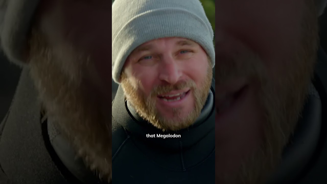 Shark Week Jaws vs. The Meg | One bite. #shorts - The Global Herald