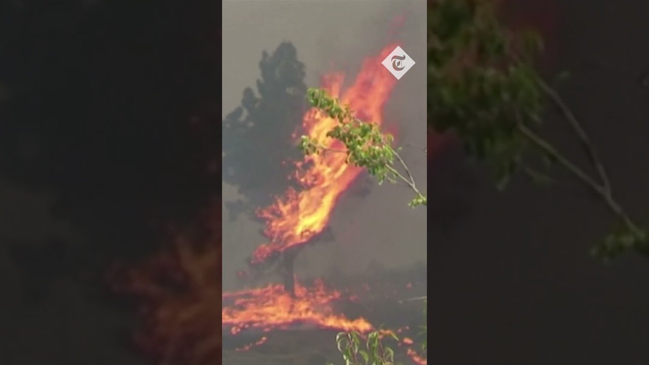 Las Palmas fire rages on as extreme heatwave continues - The Global Herald