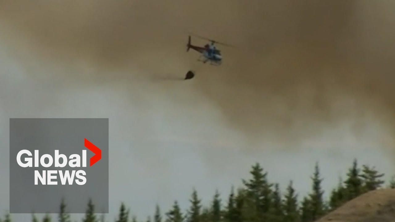 Canada wildfires: 10M hectares burned in worst season on record - The ...