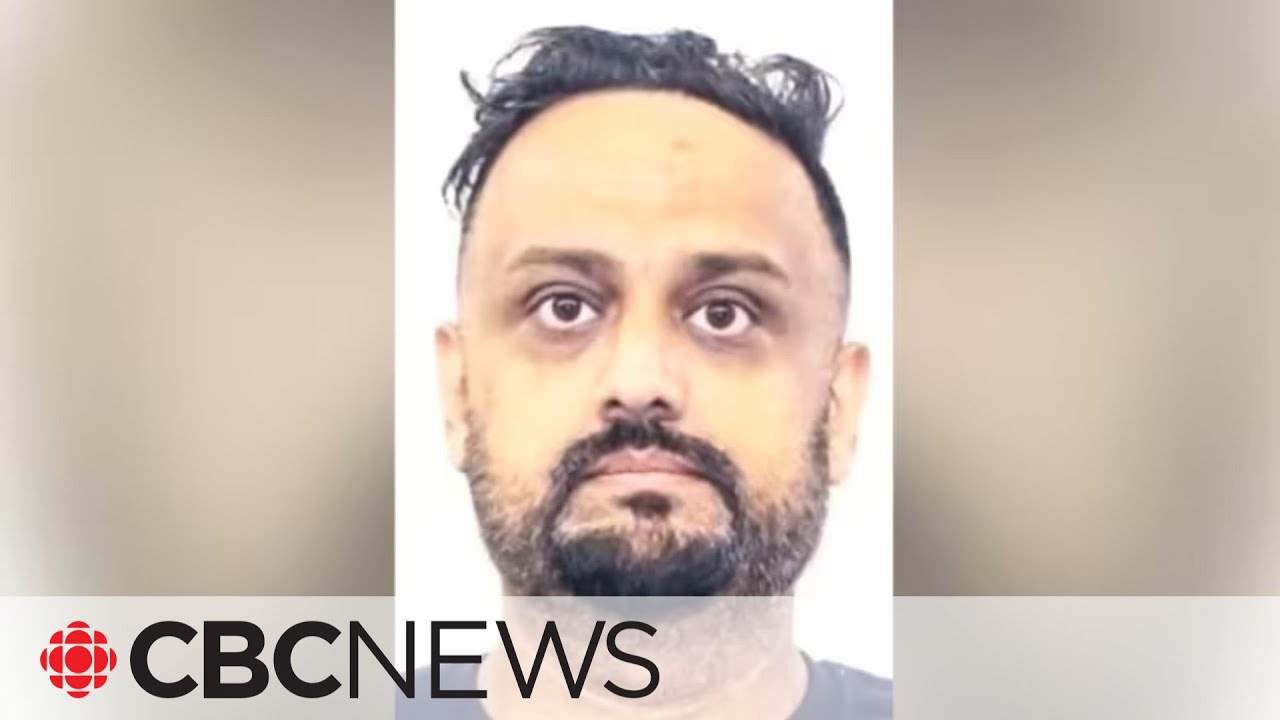 Ontario man pleads guilty to human smuggling charges in U.S. court ...