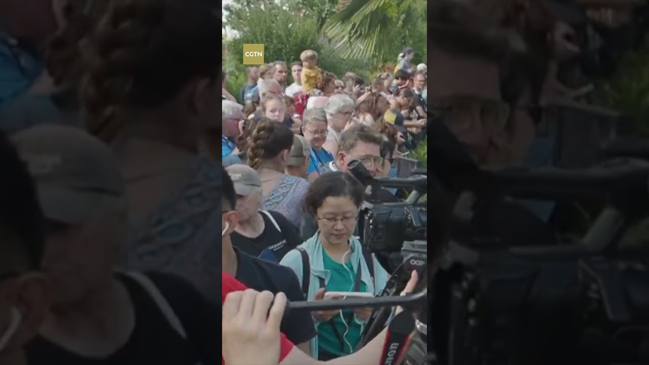 France bids farewell to giant panda Yuan Meng - The Global Herald