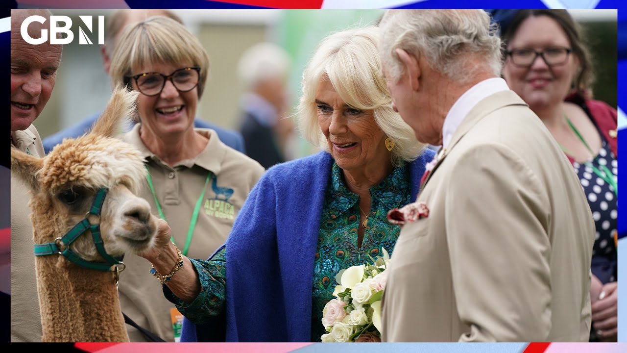 King Charles and Queen Camilla make friends with an adorable alpaca ...