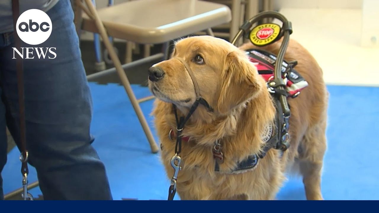 Colorado organization helps people with disabilities one service dog at ...