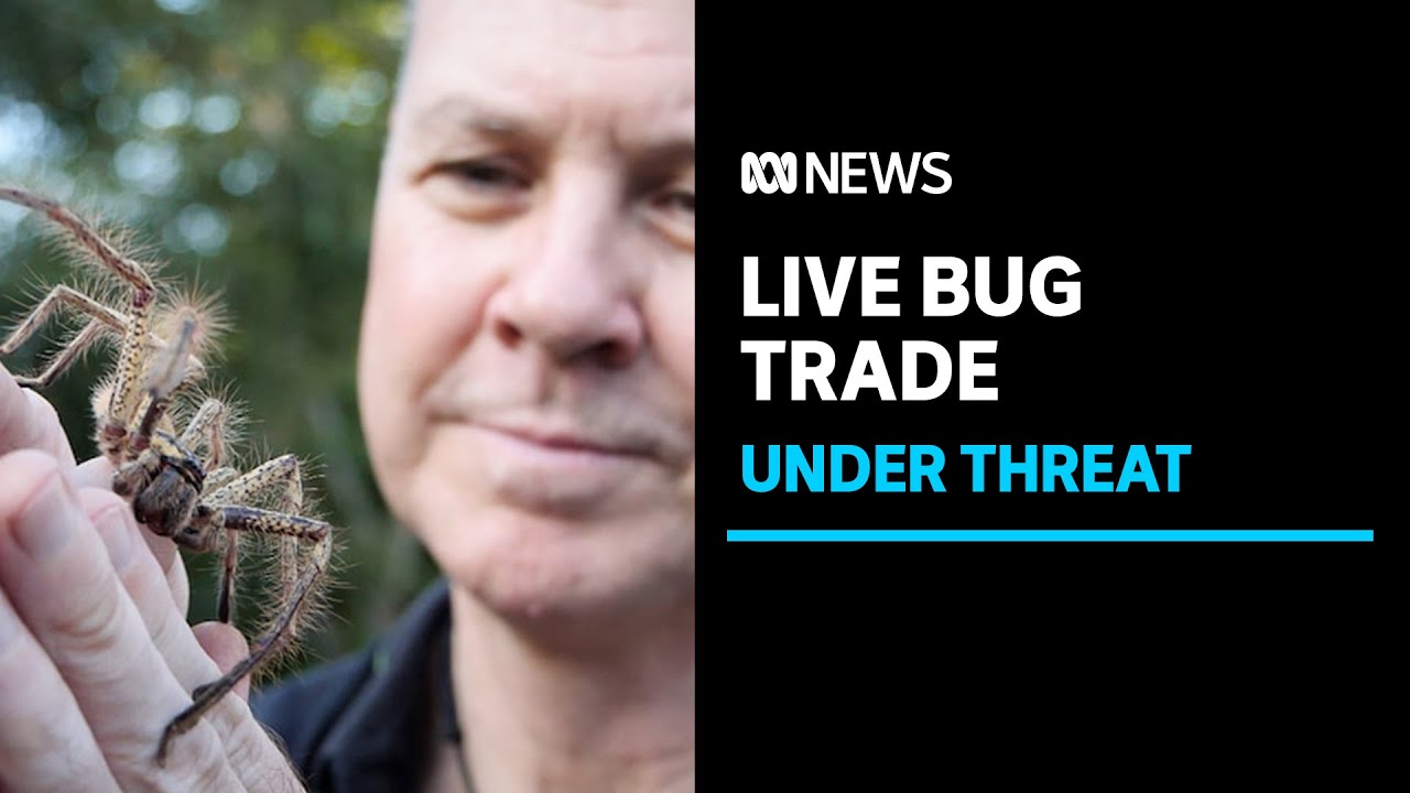 Australia Post is trying to stop online retailers from shipping live ...