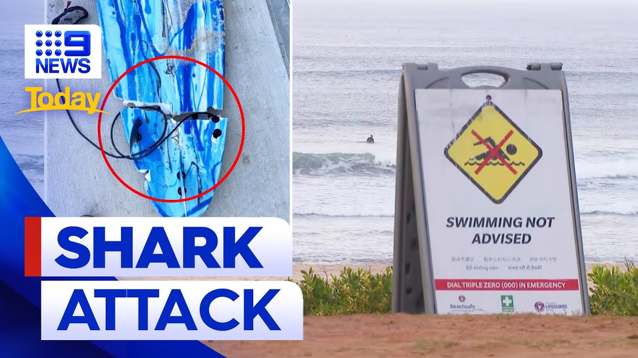 Shark attack victim recovering in NSW hospital | 9 News Australia - The ...