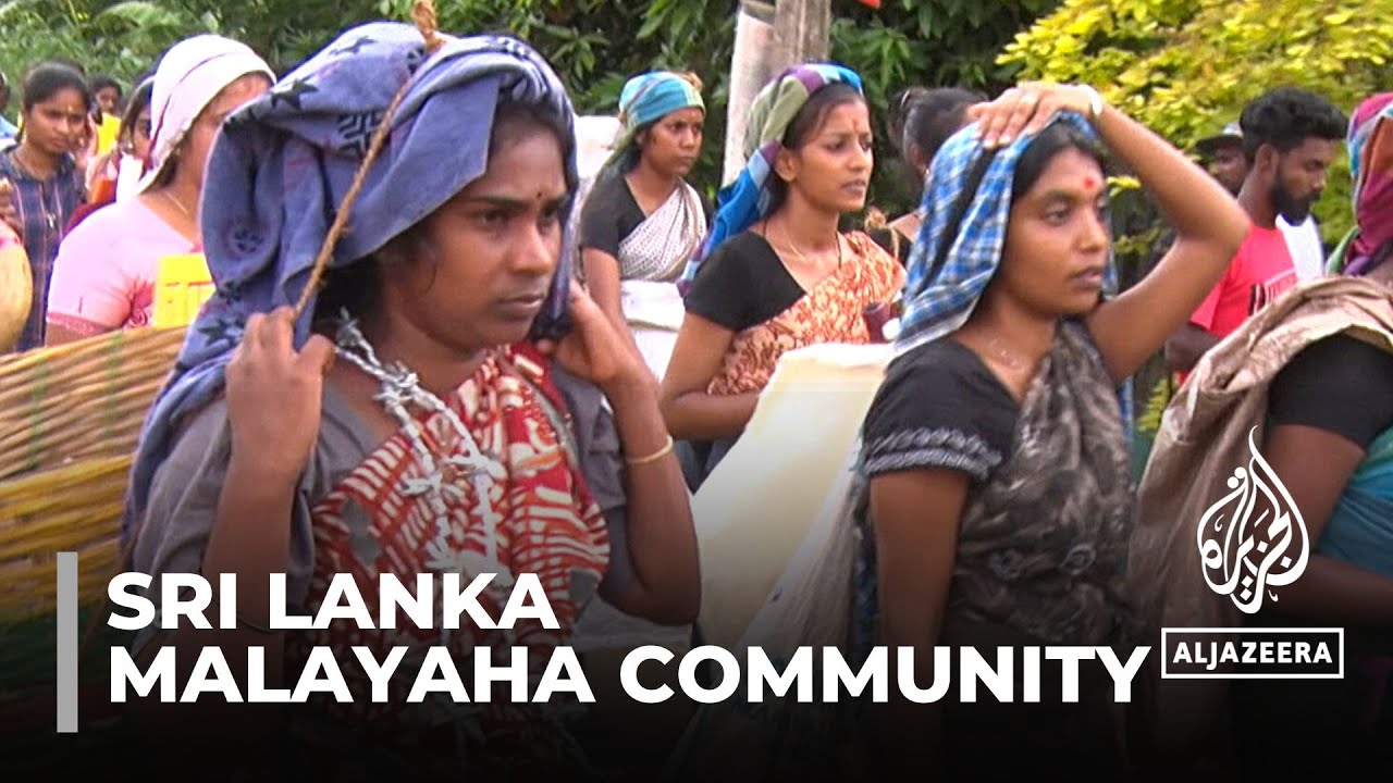 How Sri Lanka's Malayaha people are retracing their ancestral path ...