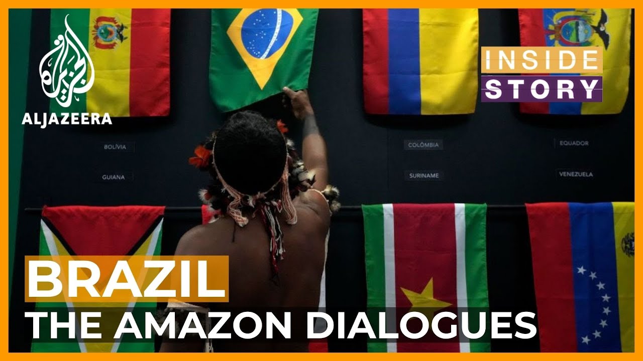 What unites and divides the Amazon rainforest nations? | Inside Story ...